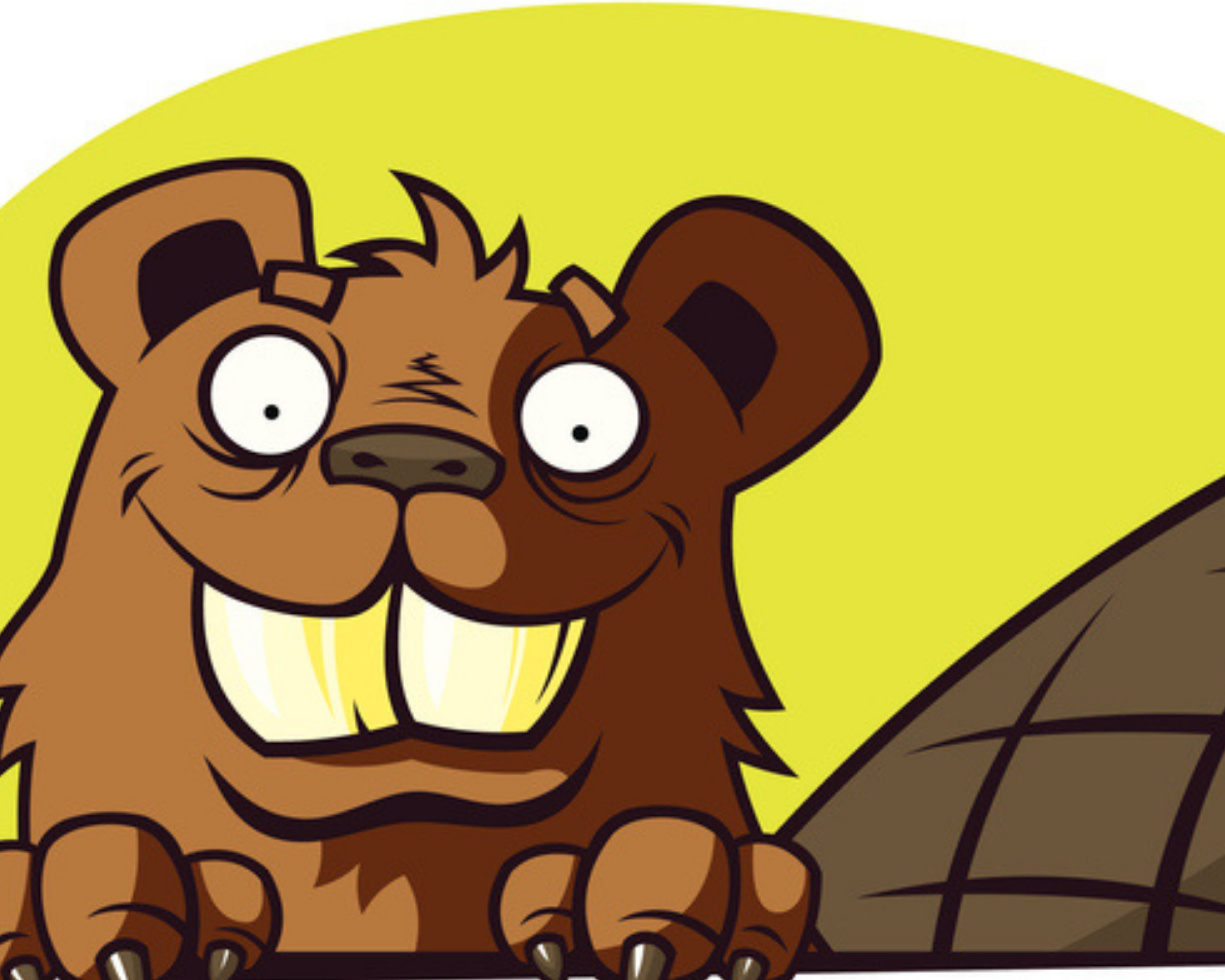 Une mascotte pour « Bien fait ici » - Bien fait ici | Well Made Here